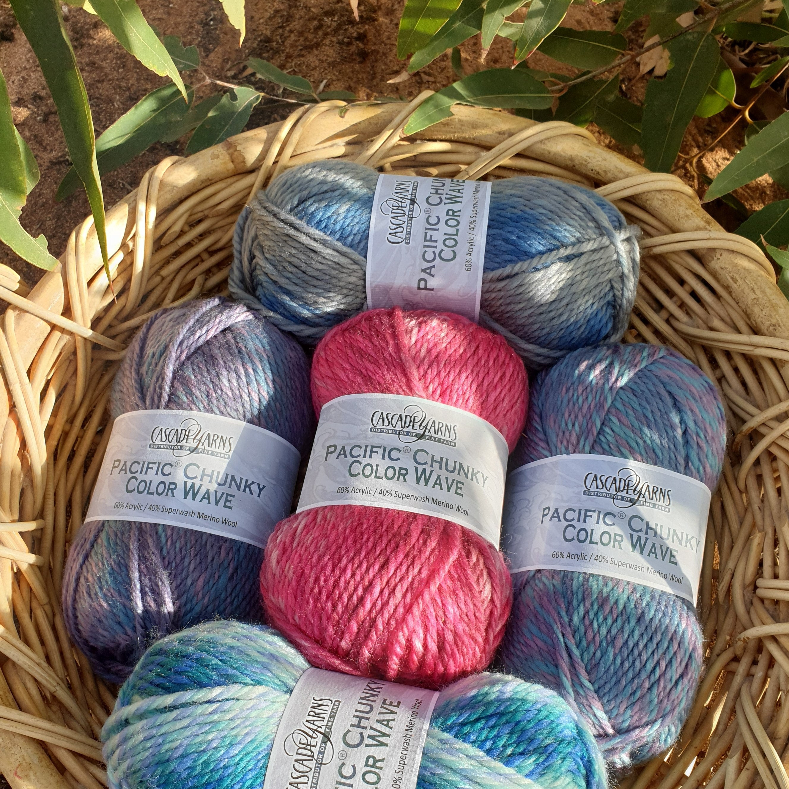 Cascade Yarns Pacific Chunky Color Wave | Yarn by the River