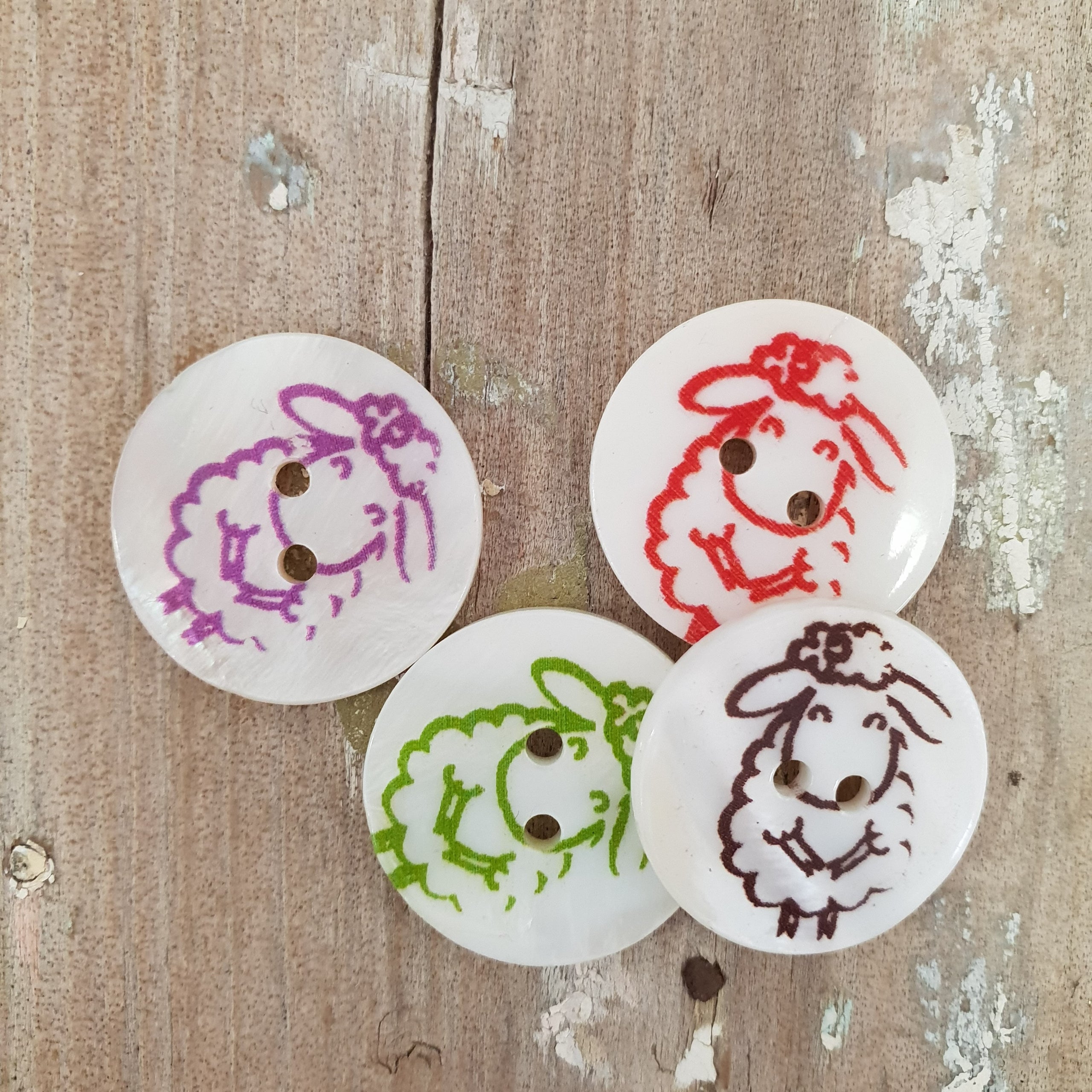 Natural Shell - Sheep | Yarn by the River